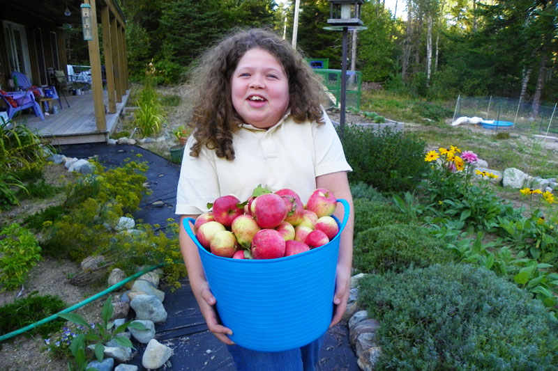 Maine Apple Sunday at Downeast Thunder Farm | Downeast Thunder Farm