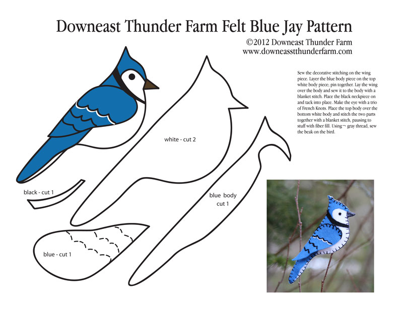Bold Blue Jay Felt Ornament | Downeast Thunder Farm