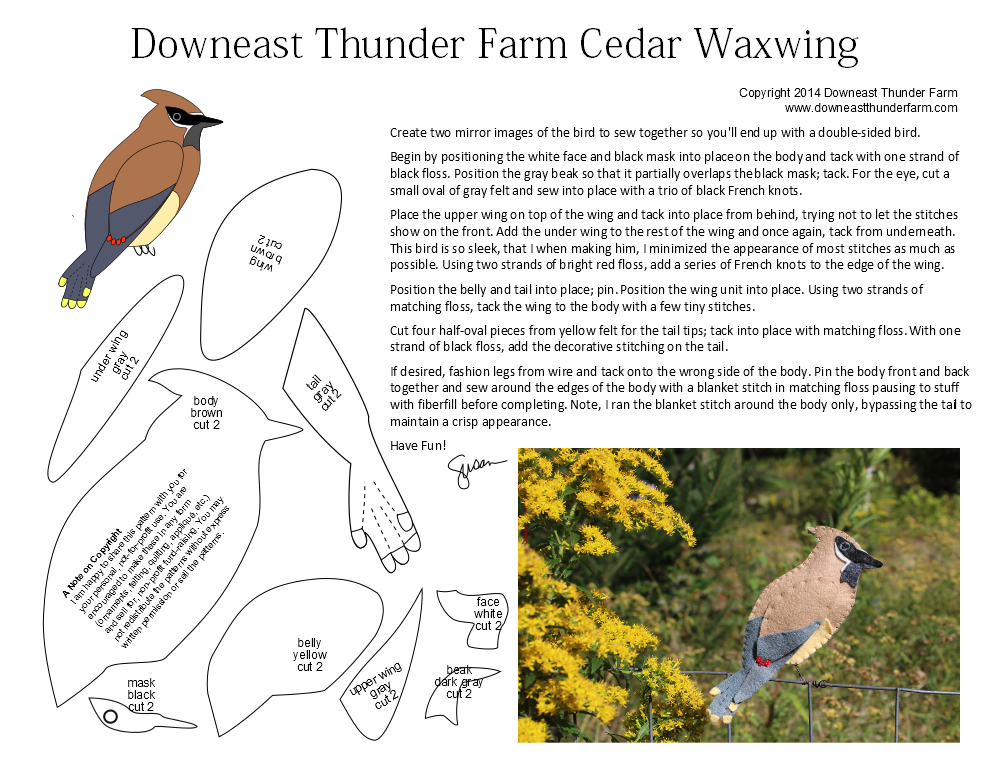 The Nomadic Cedar Waxwing | Downeast Thunder Farm