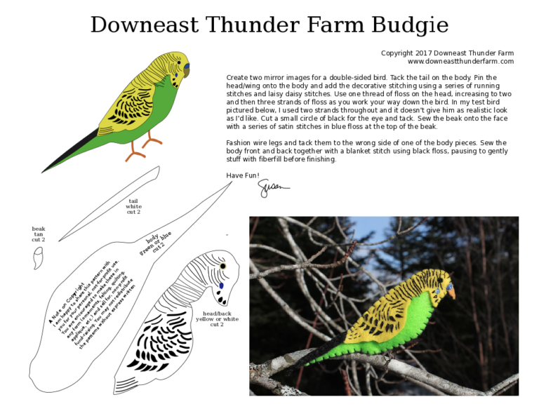 The Bonny Budgie | Downeast Thunder Farm