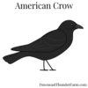 American Crow Kit | Downeast Thunder Farm