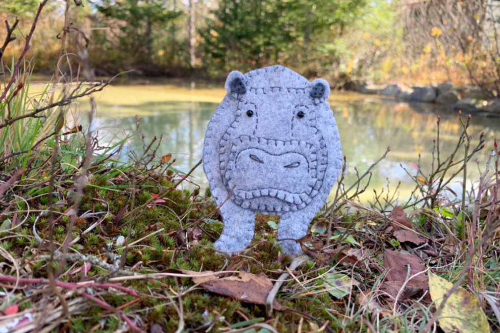 The Happy Hippo | Downeast Thunder Farm