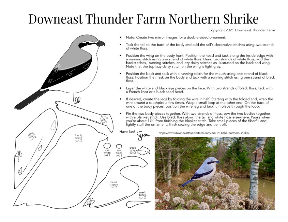 The Stealthy Northern Shrike | Downeast Thunder Farm
