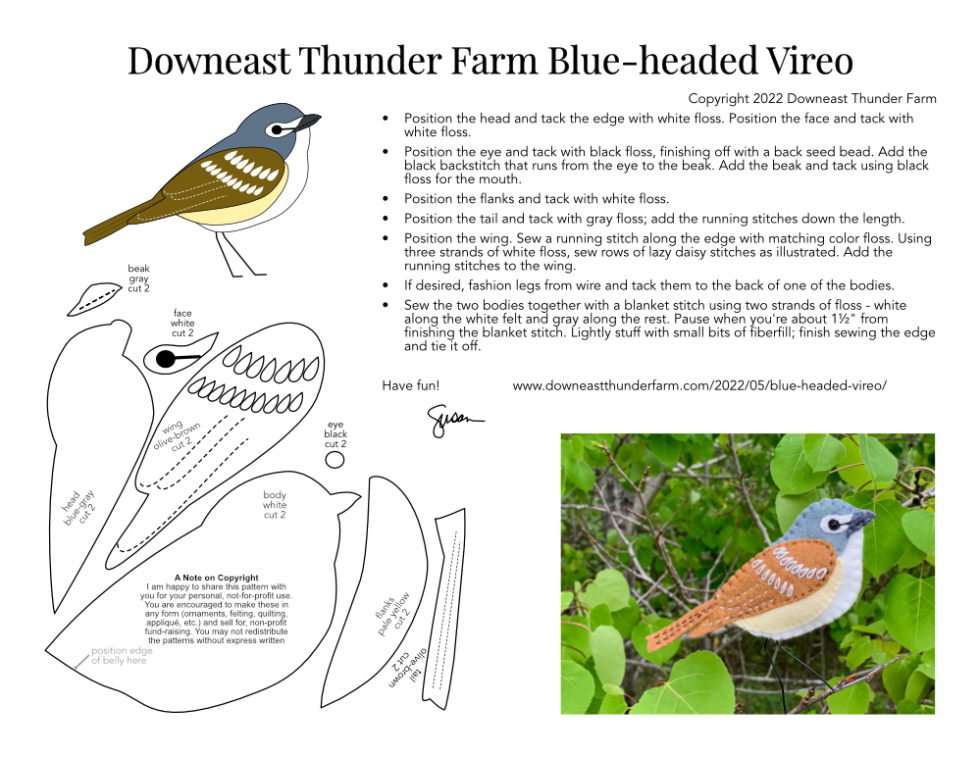 The Foraging Blue-headed Vireo | Downeast Thunder Farm
