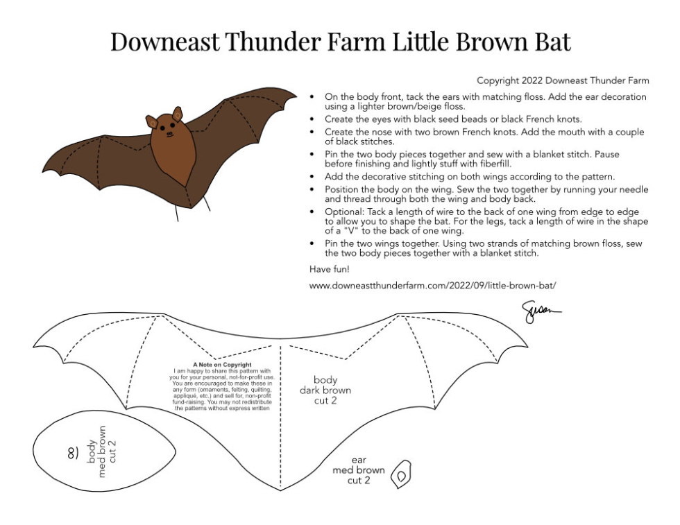 The Little Brown Bat | Downeast Thunder Farm