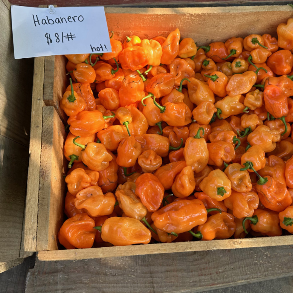 Common Ground Fair Colors & Textures | Downeast Thunder Farm