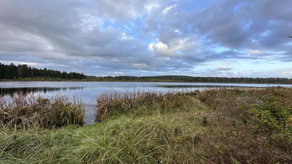 October Beach Walk | Downeast Thunder Farm
