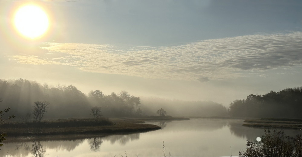 Morning Sun’s Soft Rays | Downeast Thunder Farm