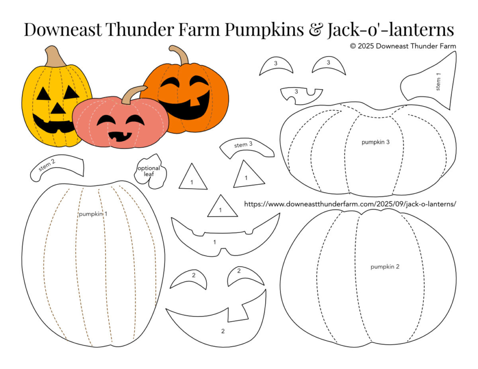 Pumpkins and Jack-O’-Lanterns | Downeast Thunder Farm